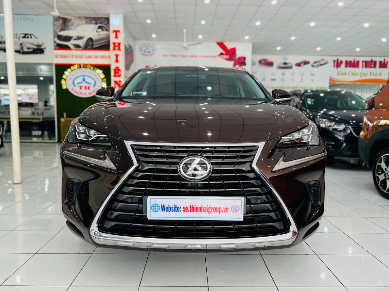 LEXUS NX300 SẢN XUẤT 2019